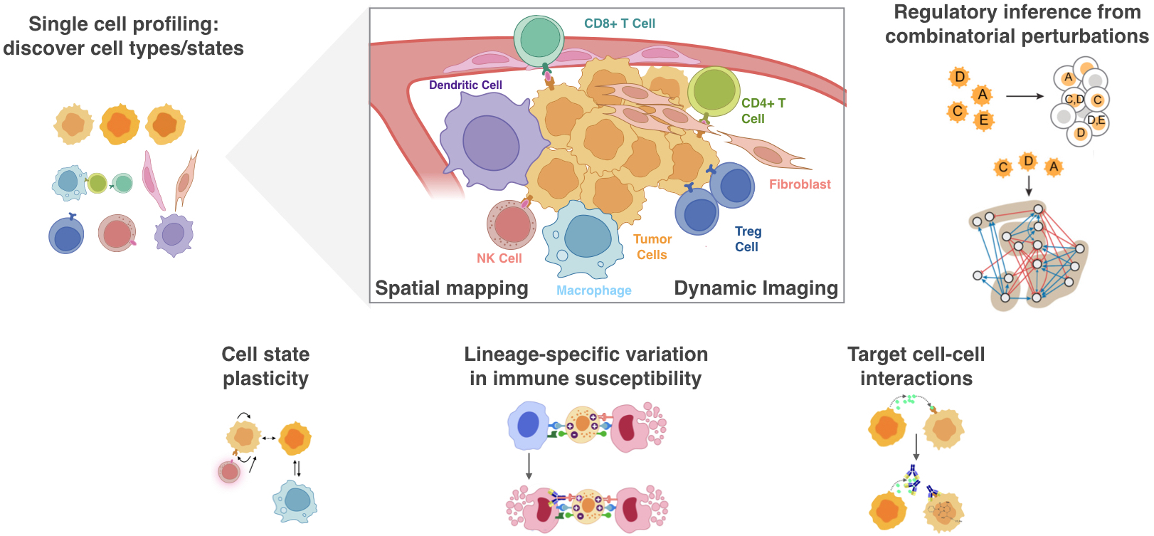 Ashley Laughney, Ph.D. – Weill Cornell Medicine – Department of ...